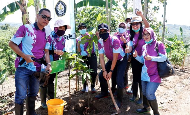 Undip Luncurkan KHDTK di Hutan Penggaron - SuaraBaru.id